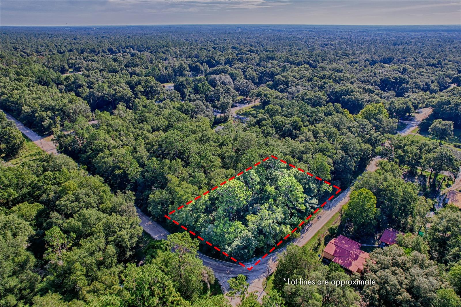 Tbd Ne 100th Ct, Bronson, FL 32621 | MLS# GC523882 | Houzeo