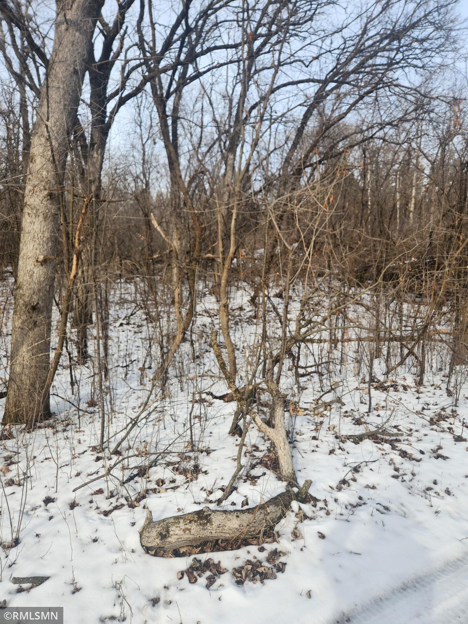 1+ Homes for Sale Under 950K in Vermillion Twp, Minnesota | Houzeo