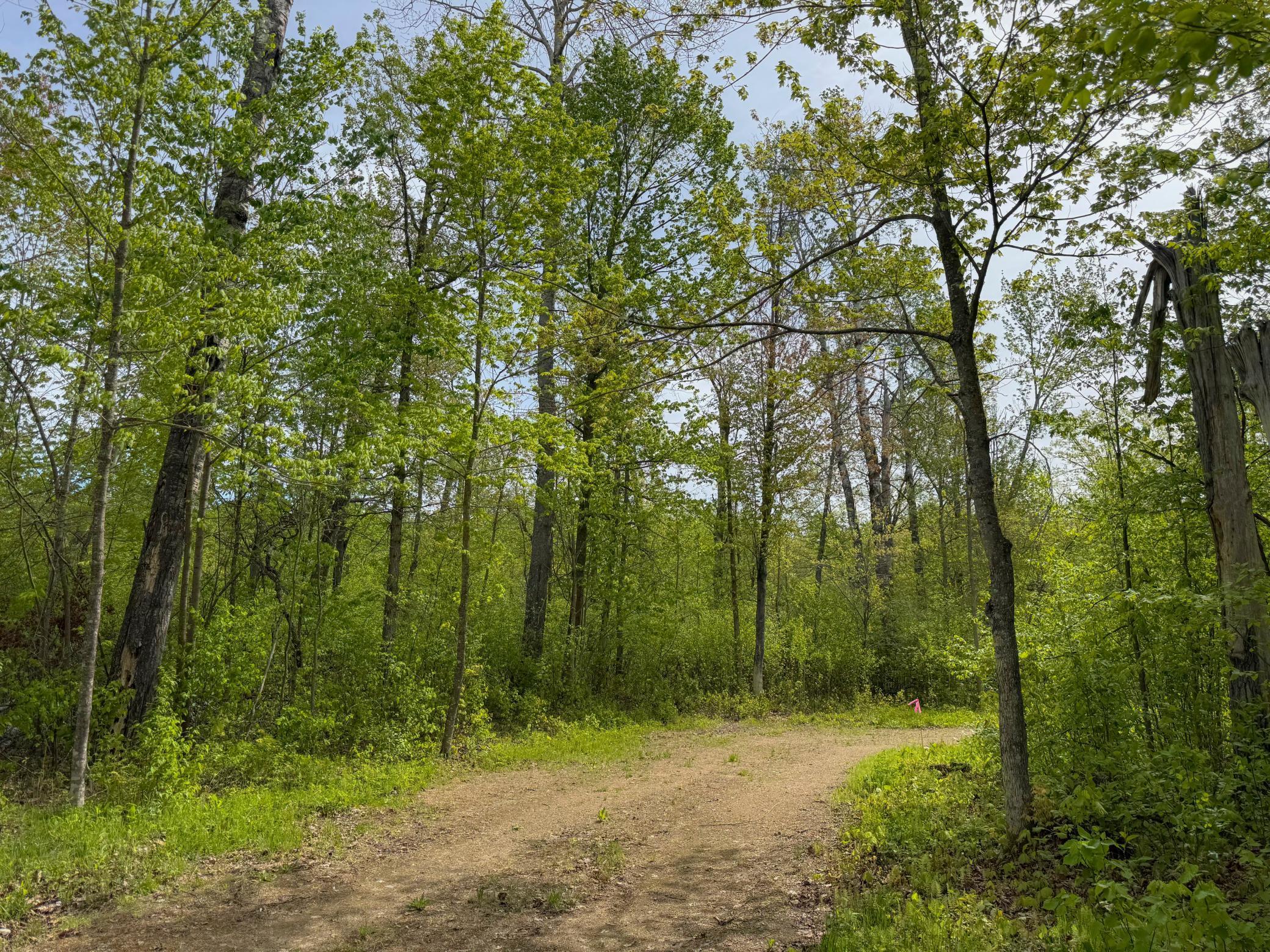 9270 Howling Wolf Dr Ne, Turtle River Twp, MN 56601 | MLS# 6724191 | Houzeo