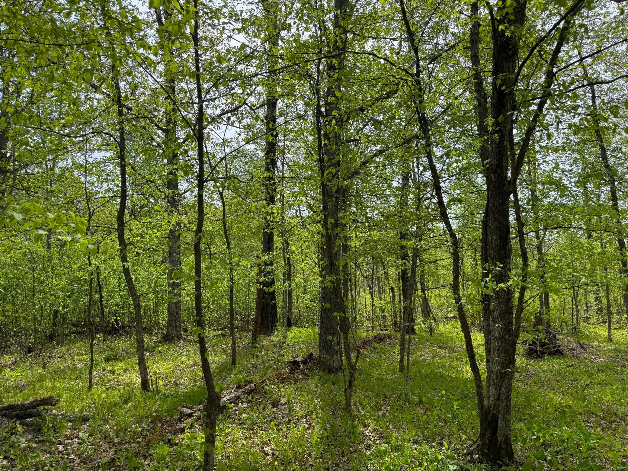 9270 Howling Wolf Dr Ne, Turtle River Twp, MN 56601 | MLS# 6724191 | Houzeo