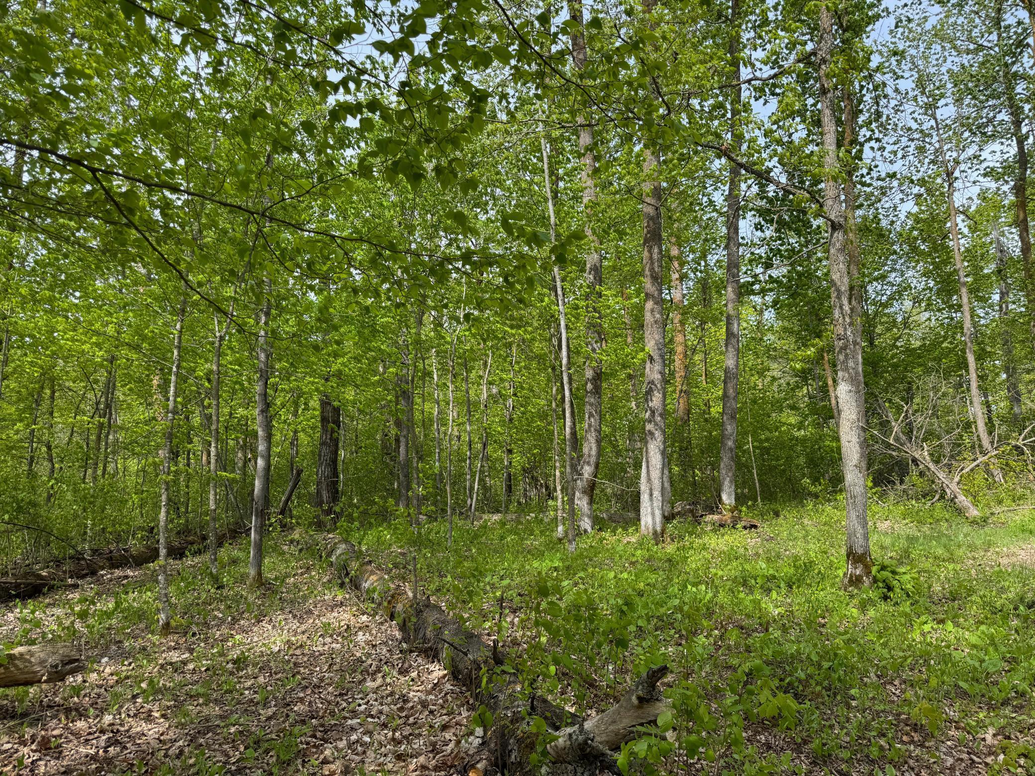 9270 Howling Wolf Dr Ne, Turtle River Twp, MN 56601 | MLS# 6724191 | Houzeo