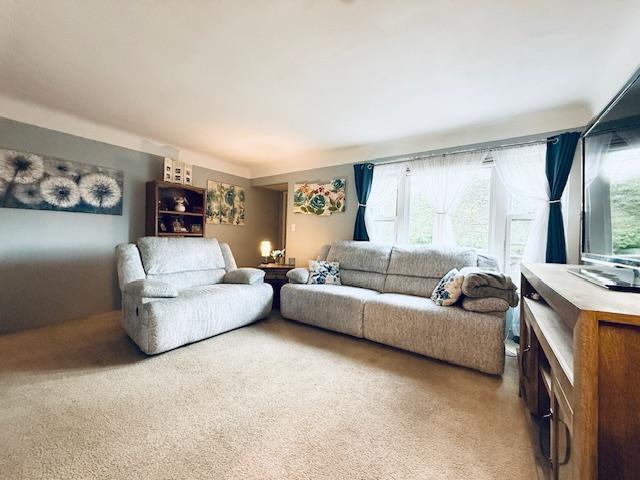 22710 Northmen St, Quamba, MN 55007 | MLS# 6773153 | Houzeo